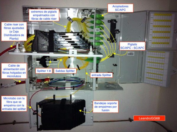 ONT Archivos - EL CAJÓN DEL ELECTRÓNICO